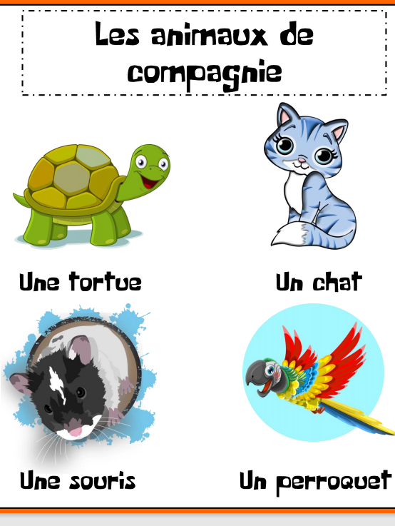 Les animaux de compagnie (affiche) | Des to alliws