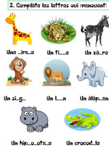 Les animaux de la jungle: exercices | Des to alliws